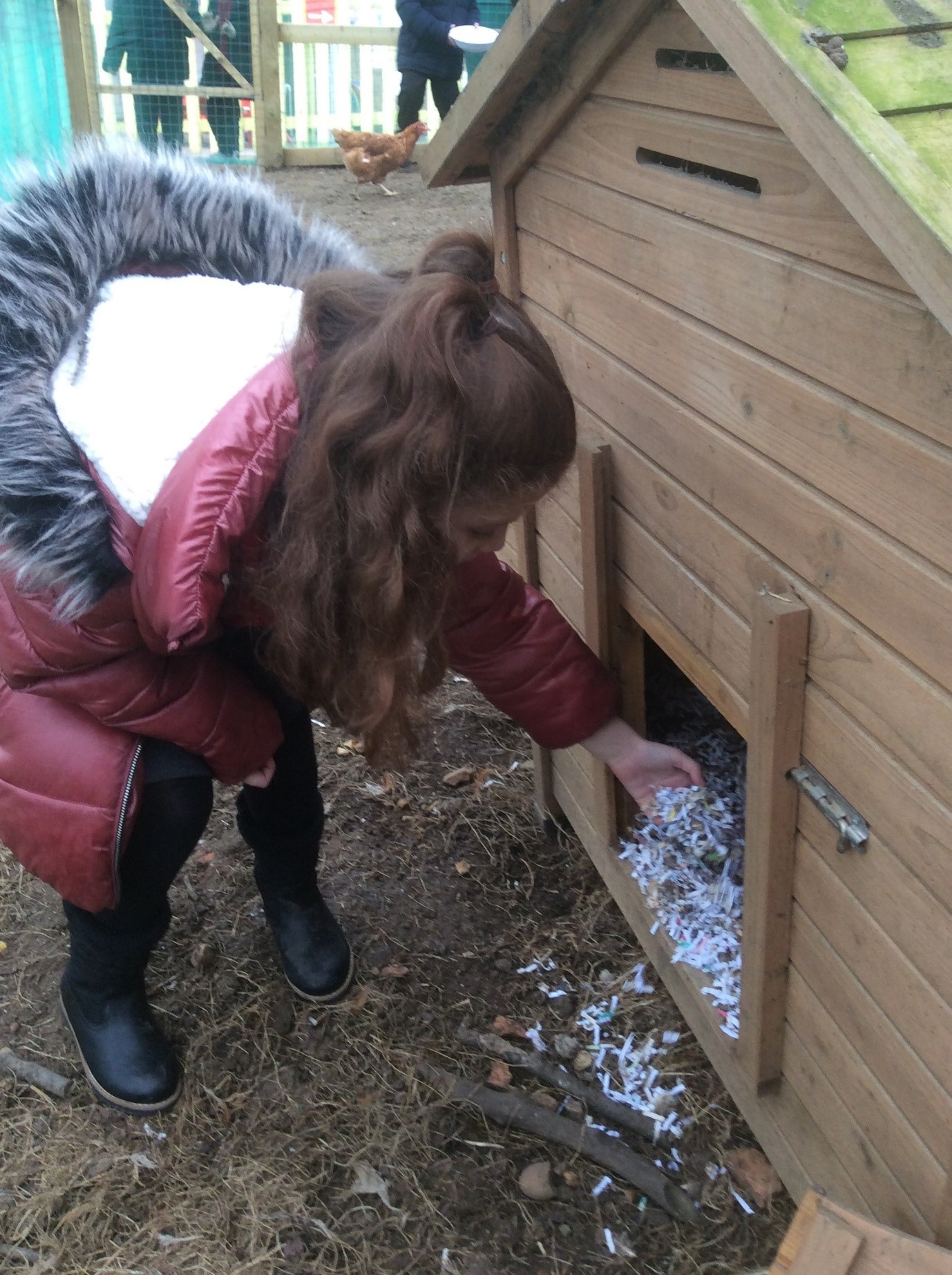 Squirrels Class - Scott Primary School